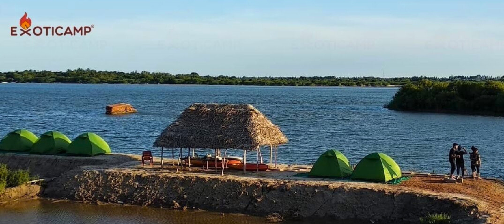 Camping Near Pondy | Kayaking and Stargazing Adventure at Pichavaram ...