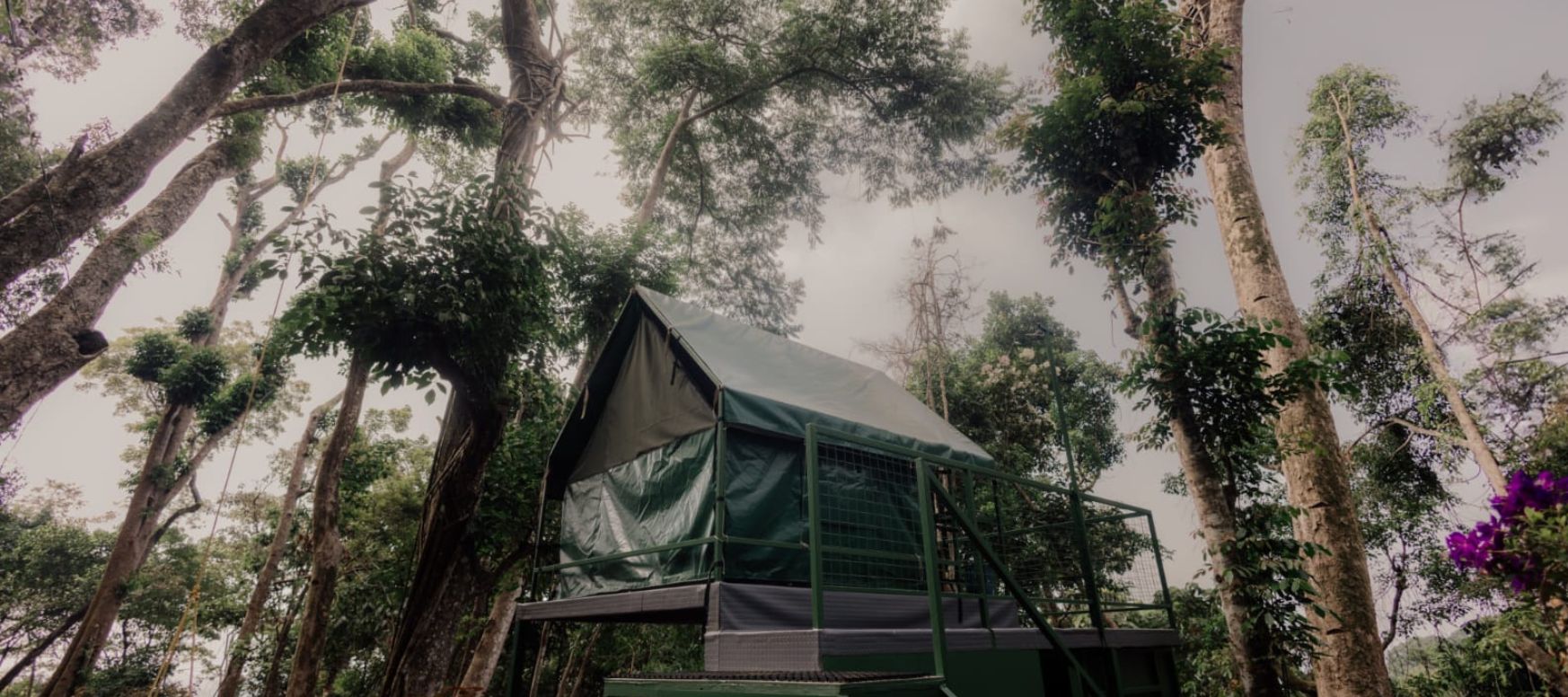 Kanthalloor-Munnar Glamping Escape | Luxury Amidst Nature
