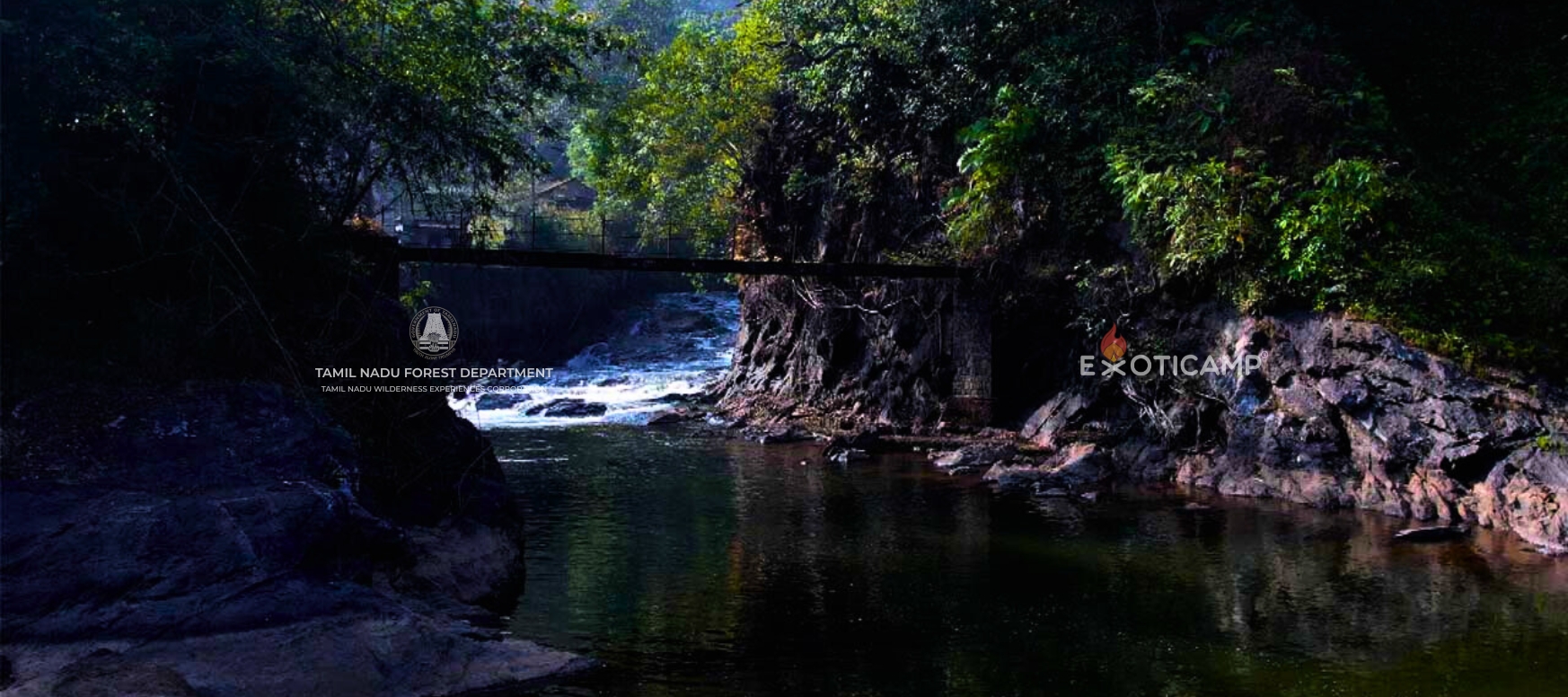 Manambolly Forest Trek – Anamalai Tiger Reserve, Valparai