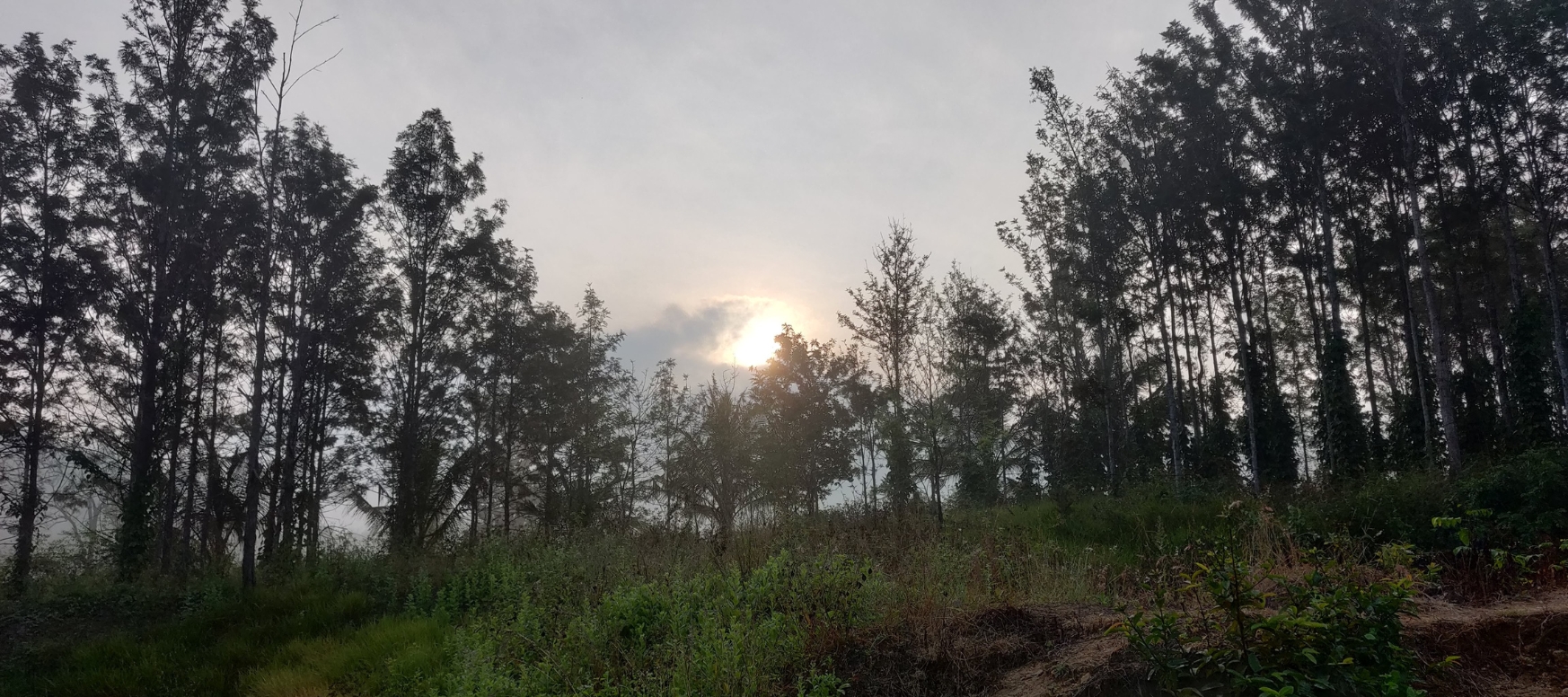 Vellimalai Camping – Misty Hills & Starry Skies in Tamil Nadu