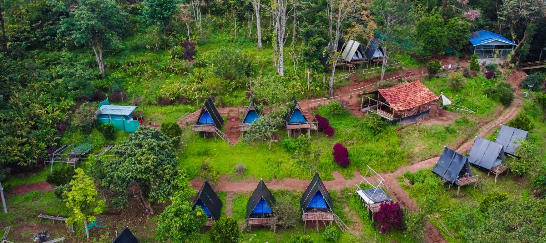 Deep Forest Camp in Munnar – Immersive Wilderness Stay