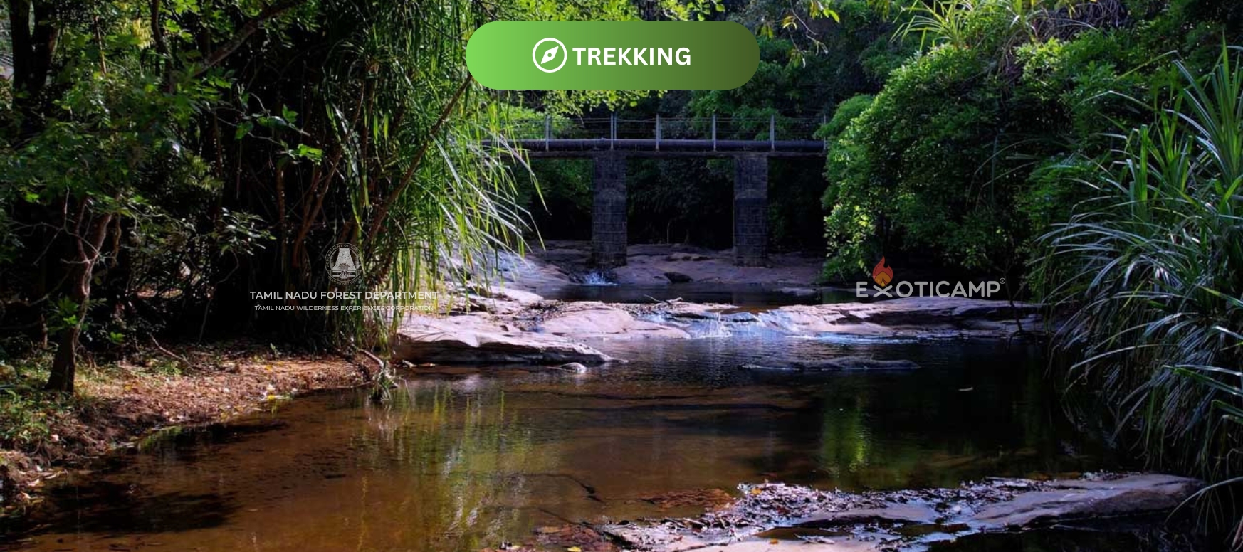 Shenbaga Devi Waterfalls Trek – Courtallam Forest Trail