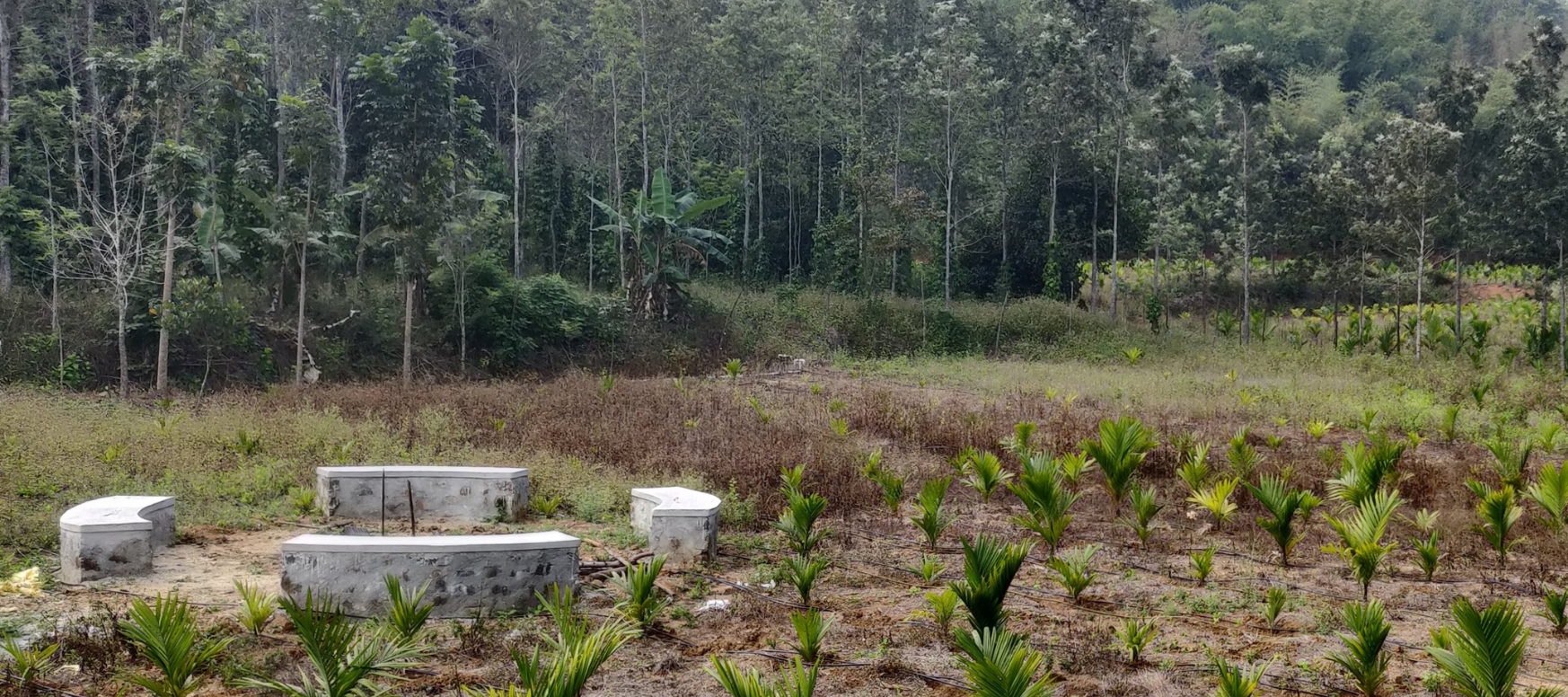 camp-image