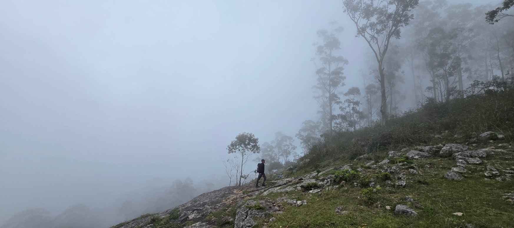 Sanniyasimalai Peak | Easy Trekking Trail in Yercaud