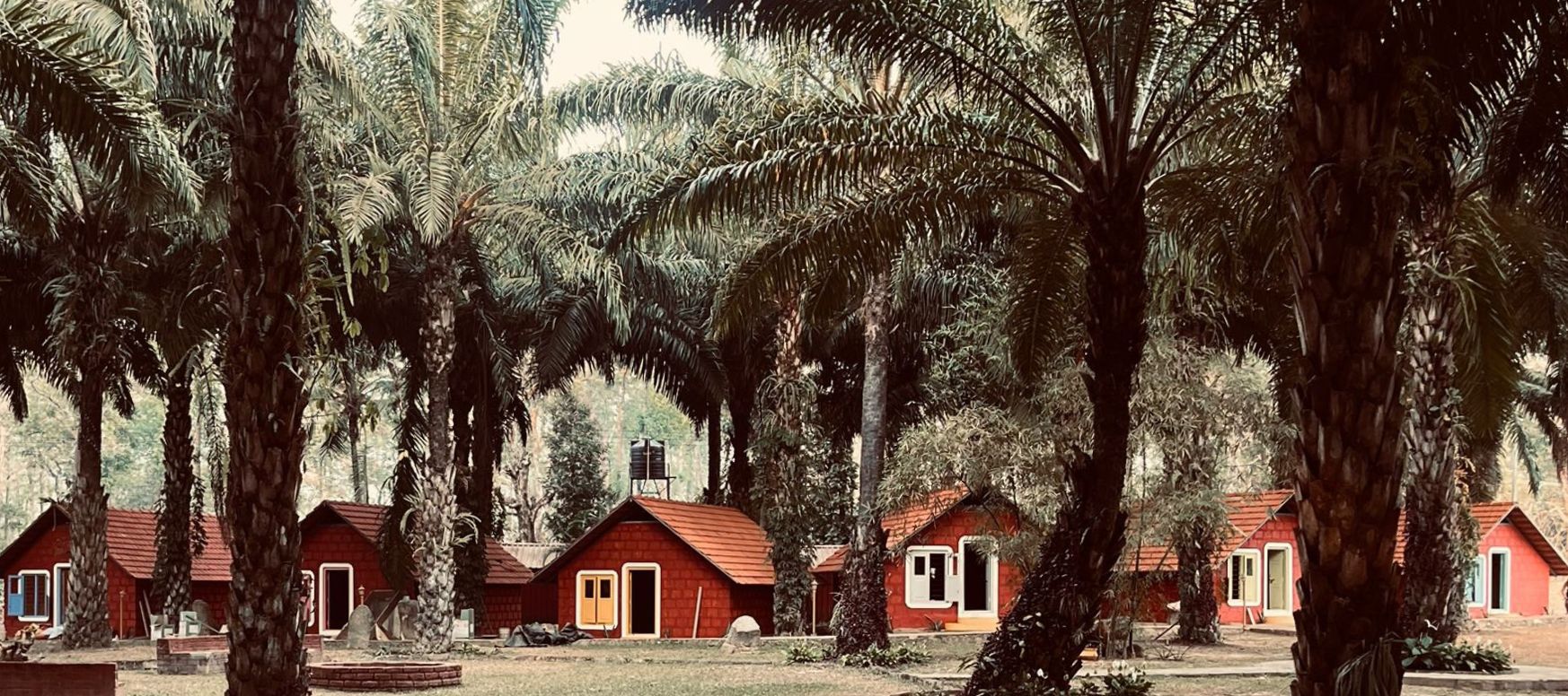 Coorg Glamping Stay – Traditional Huts in Coffee Plantation Homestay
