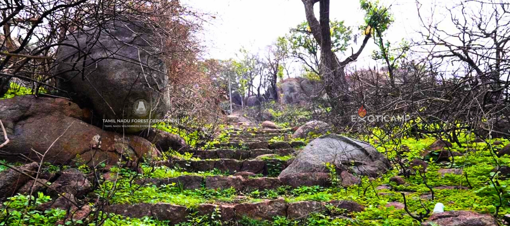 Swamimalai Trek – Yelagiri’s Highest Peak Trail