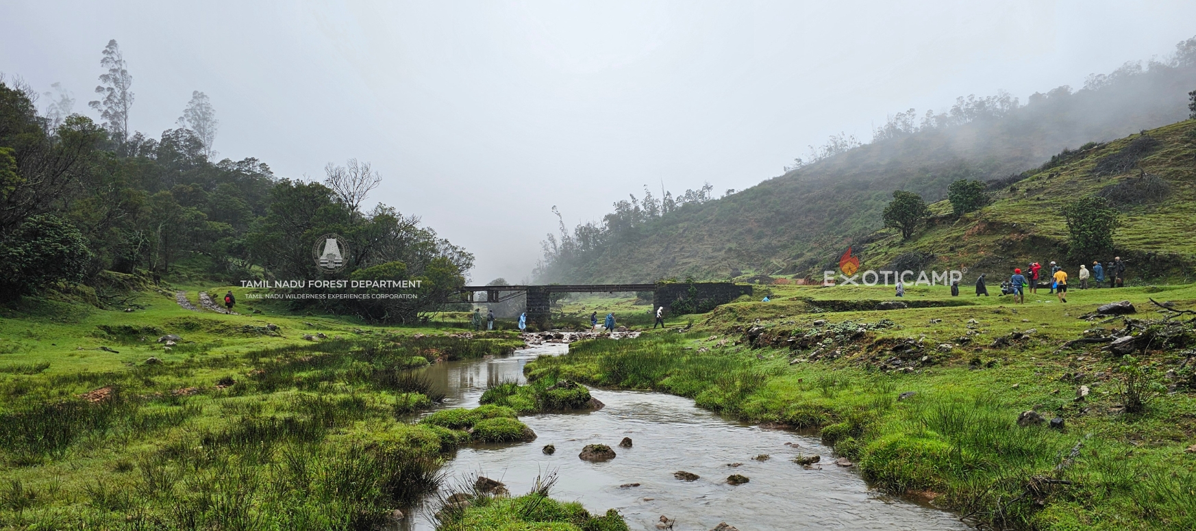 Parsons Valley to Mukurthi Hut Trek & Camping, Nilgiris