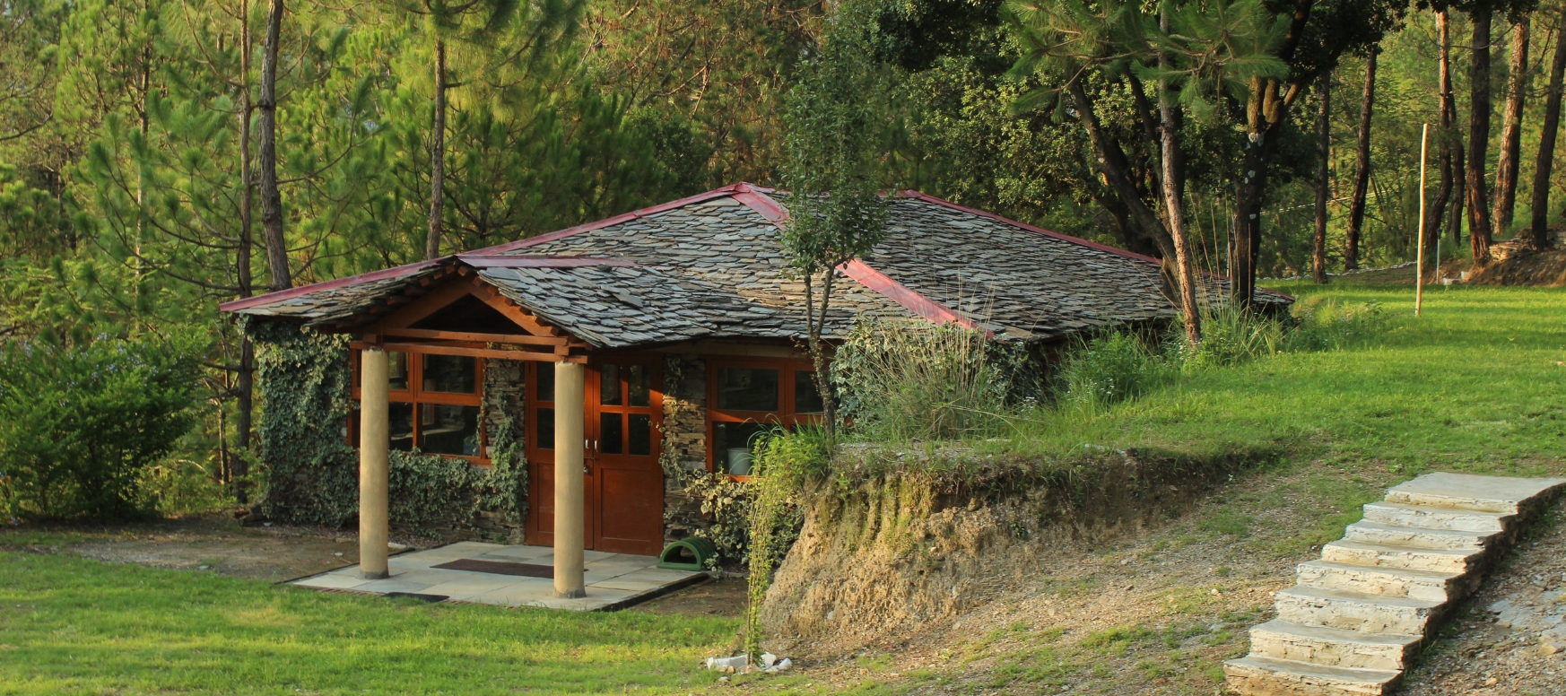 Chail Hills Camping Experience | Forest Stay & Adventure in Himachal