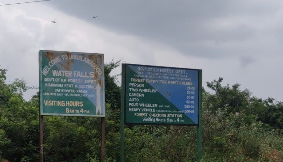 Tada Waterfalls Trek – Forest Entry Secrets & Trail Warnings (2025)