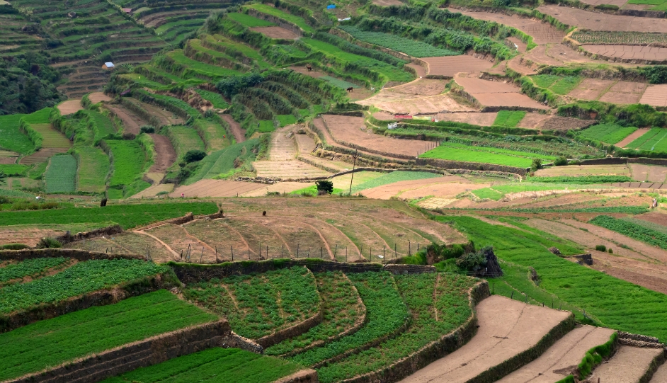 Kodaikanal Travel Guide | Discover Tamil Nadu's Enchanting Hill Station