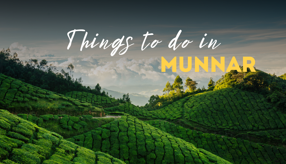 Top 20 Things to do in Munnar: For All Travellers