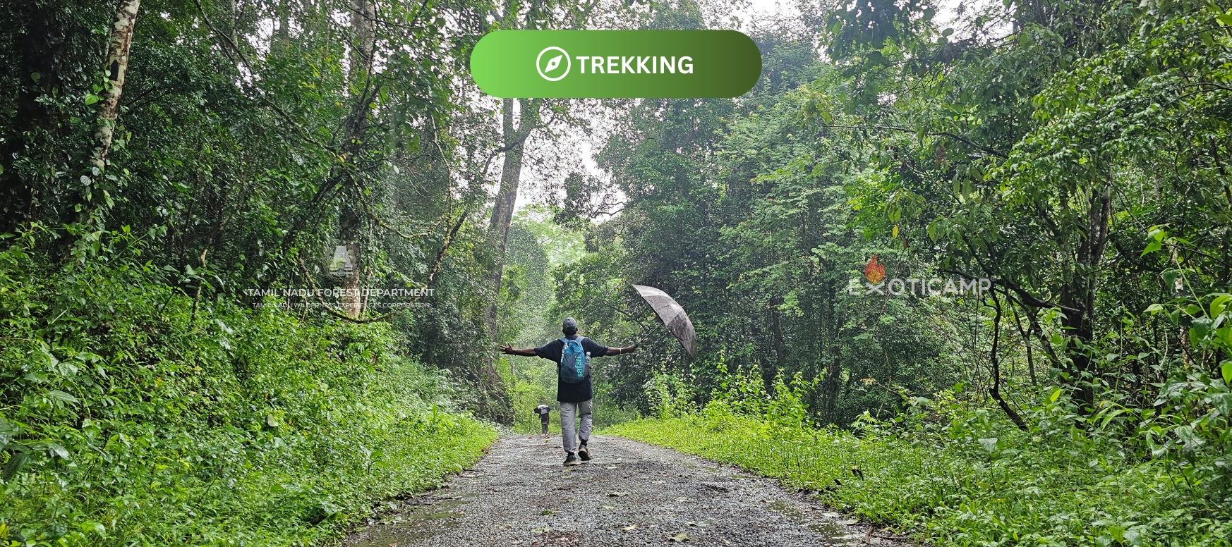 Manambolly Forest Trek – Anamalai Tiger Reserve, Valparai