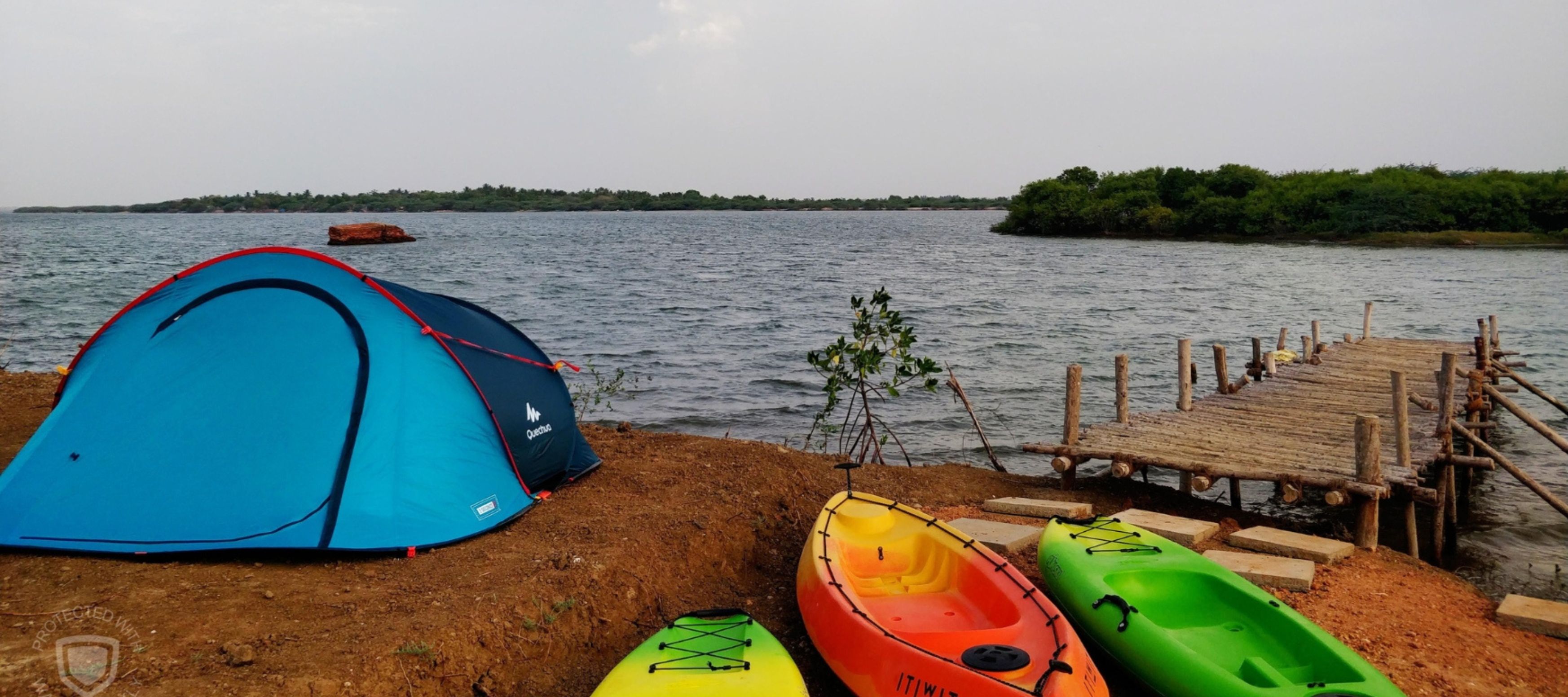 Camping Near Pondy | Kayaking and Stargazing Adventure at Pichavaram ...